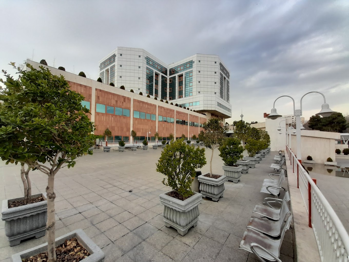 Home - Iran Medical Visa